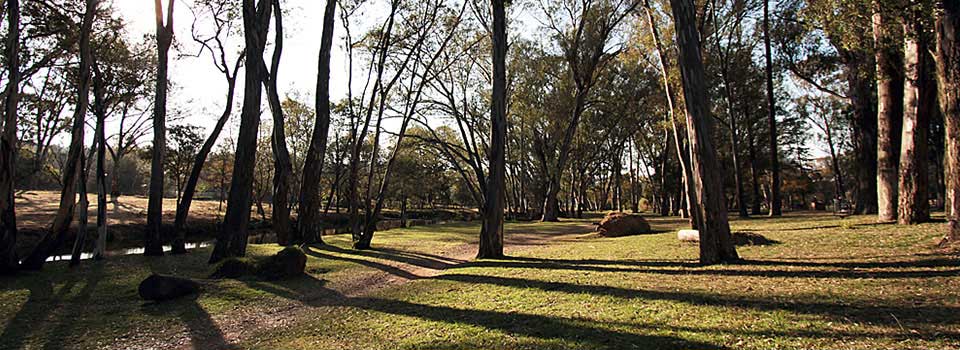 sandton-park-2 - Life Mission Ministries